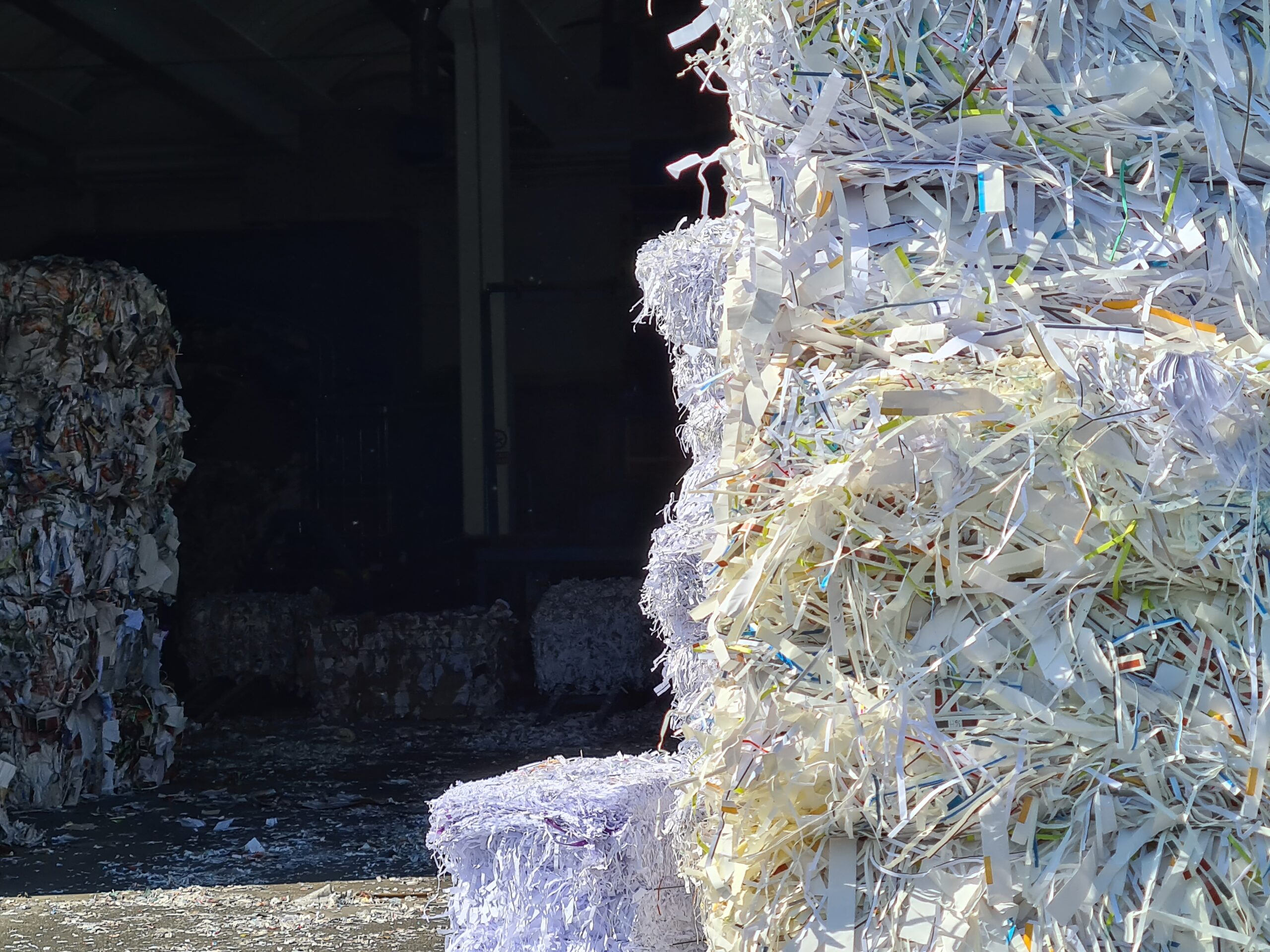 Distruzione archivi cartacei - GV Macero